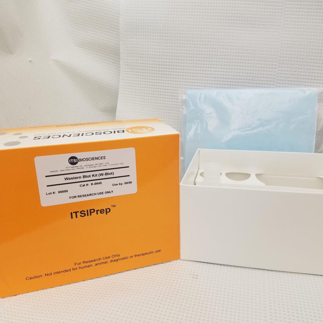 Western Blot Kit (W-Blot, K-0045) - ITSI-Biosciences