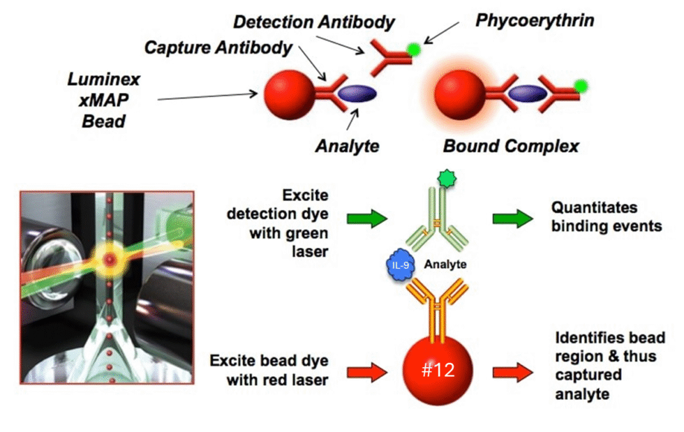 Precision Multiplexing for Protein Quantitation and Gene Expression ...